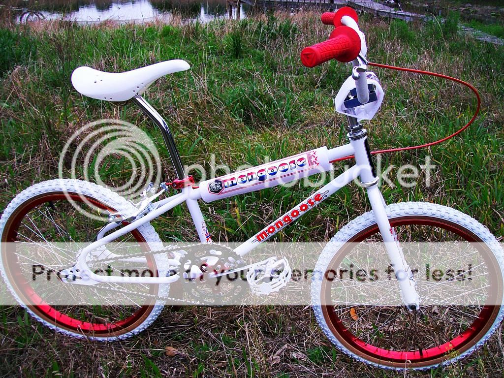 Lets see those RED BUILDS!!!!!!!!!!!! - BMXmuseum.com Forums